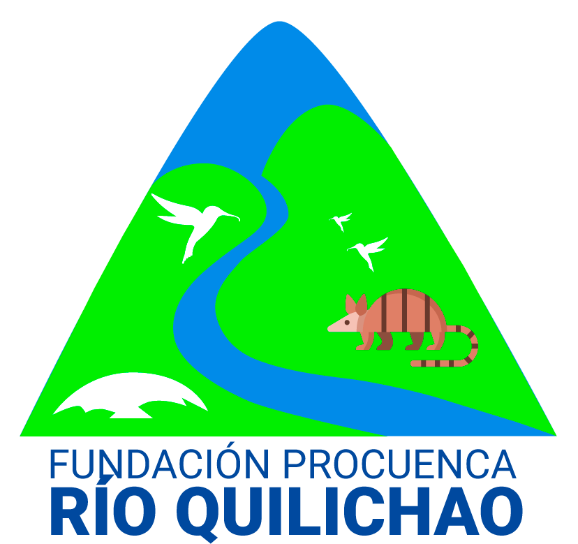 Cuenca Logo